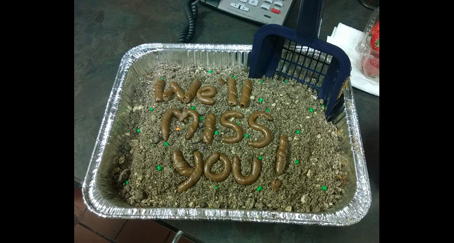 17 of the Best/Worst Going Away Cakes You'll Ever See
