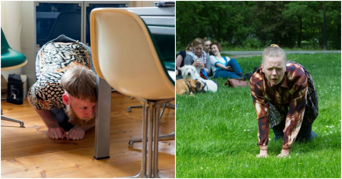 These Artists Do Special Theatrical Performances Just For Pets