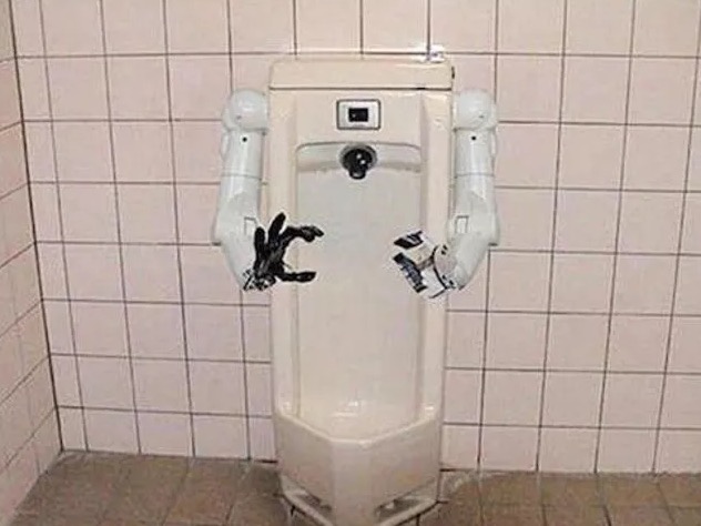 18 of the World's Weirdest Toilets