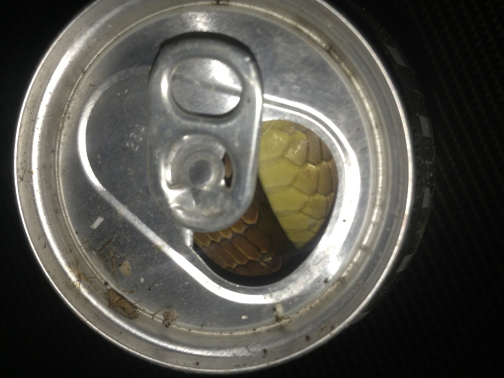 11 Photos That Will Make You Say NOPE