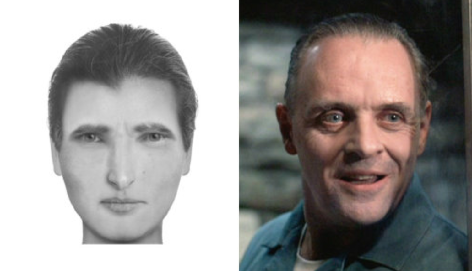 20 Police Sketches of Famous Book Characters Compared to How They Look ...