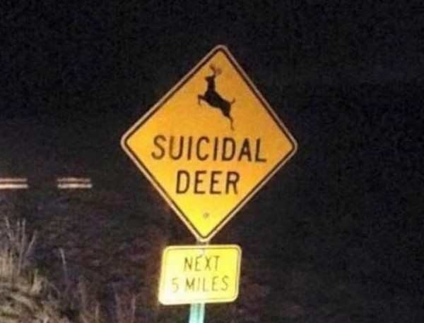 20 Bizarre and Poorly Designed Signs