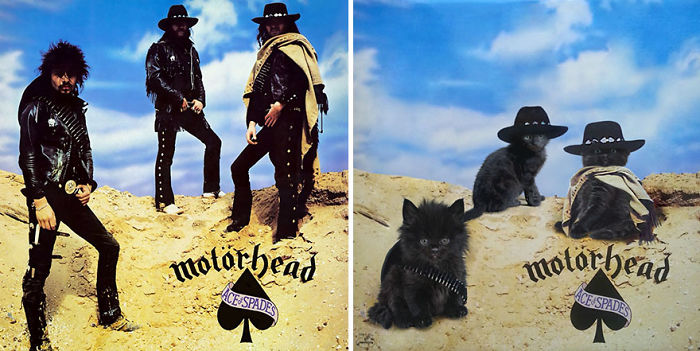 Some Genius Is Recreating Classic Album Covers With Cats