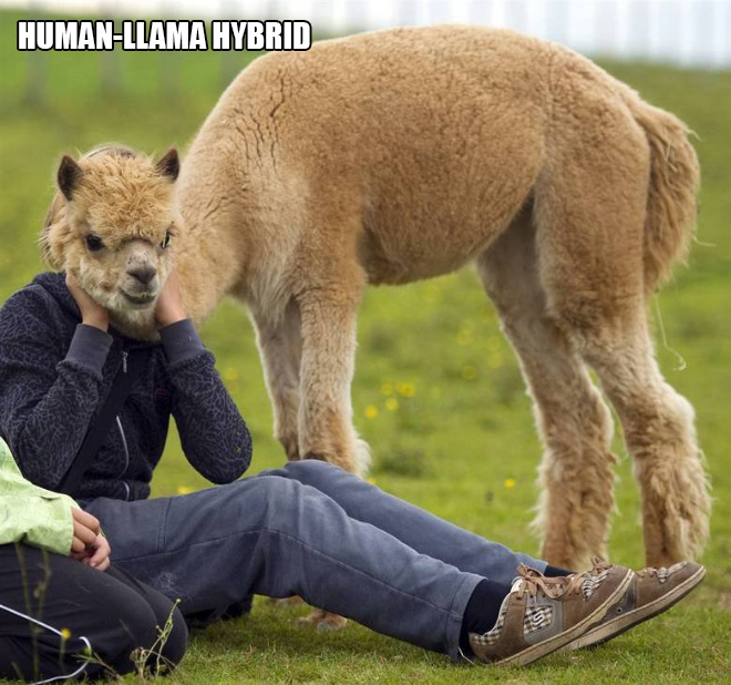 10+ Accidental Optical Illusions in Photos That'll Make You Look Twice