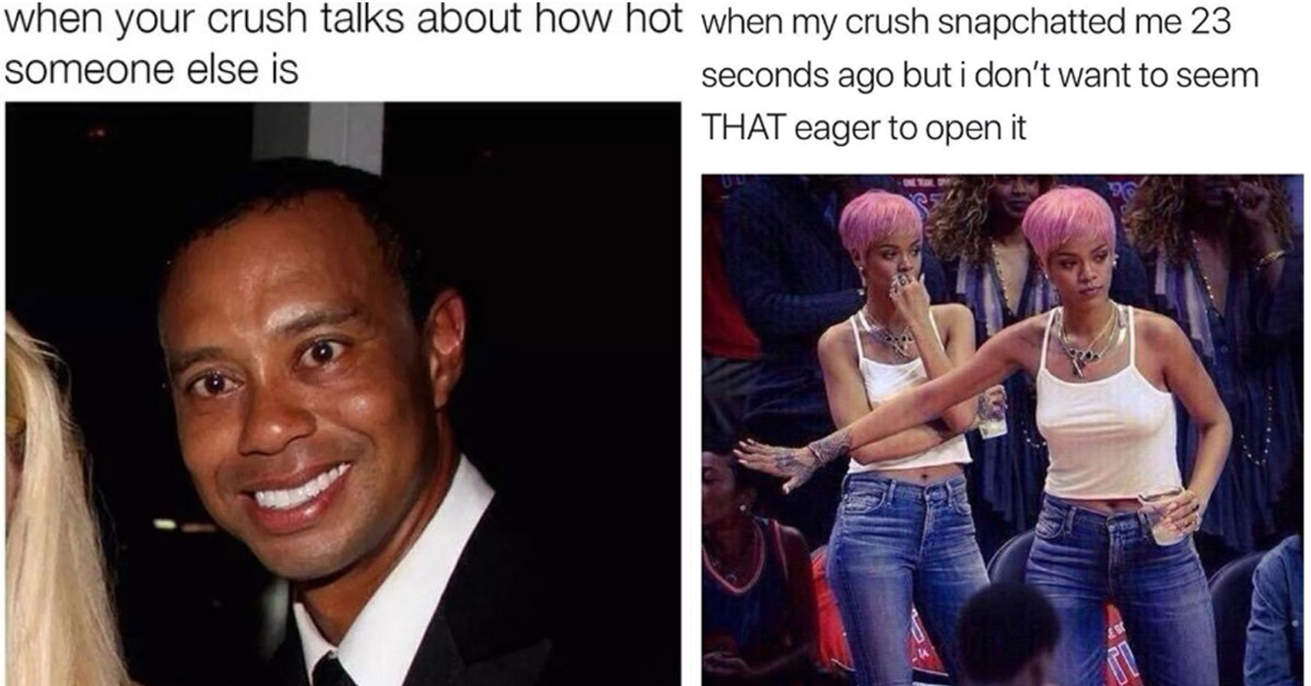 12+ Memes About Being Crushed by Your Crush