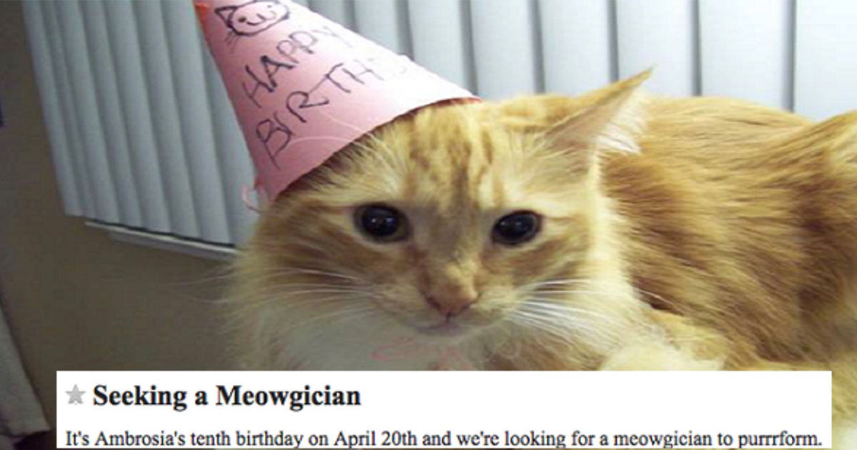 15 Delightfully Weird Posts From The Bowels Of Craigslist