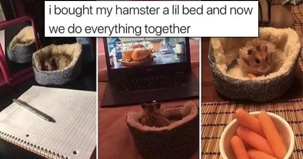 20 Happy Tweets That Will Melt Your Ice Cold Heart