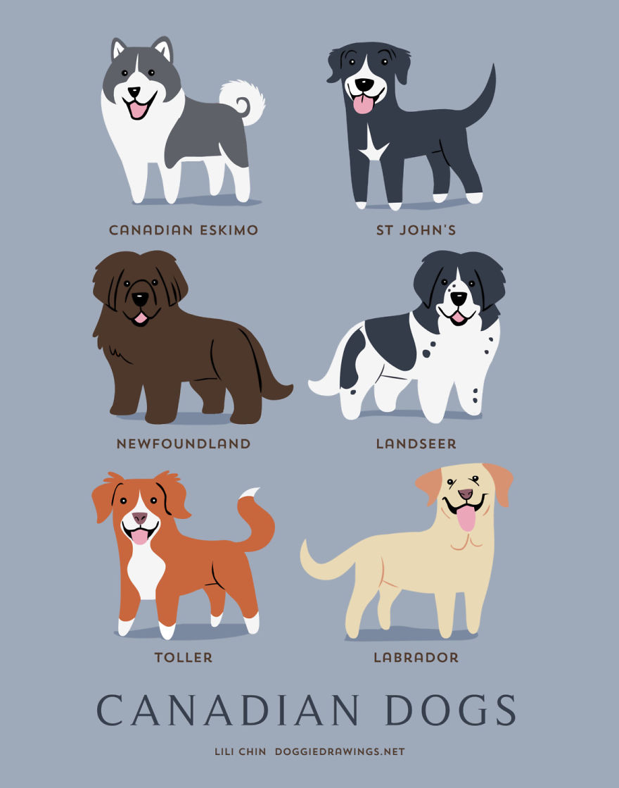 15 Illustrations Show What Parts of the World Different Dog Breeds Come ...