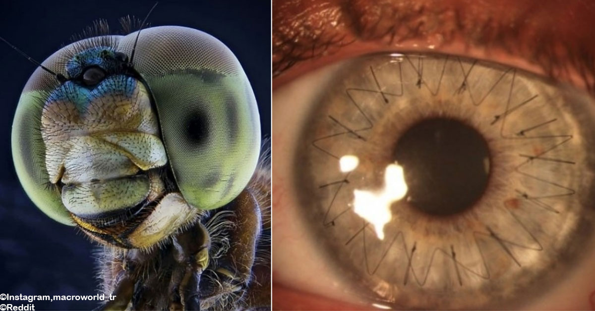 Look at These 20 Everyday Things with a Fresh New Perspective