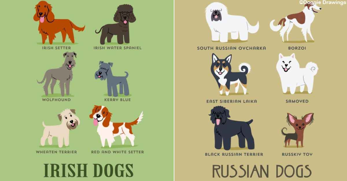 Artist Creates a Charming Illustrated Guide to the Dogs of the World