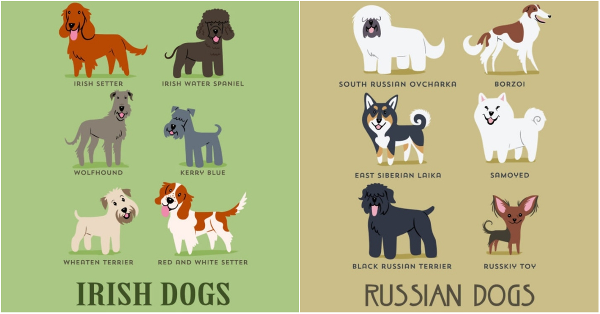 Artist Creates a Charming Illustrated Guide to the Dogs of the World