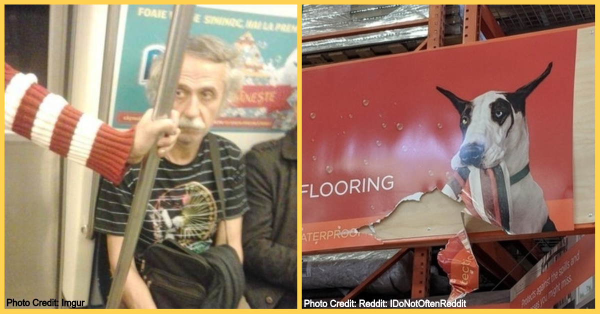 We're Struggling to Understand These 15 Baffling Photos