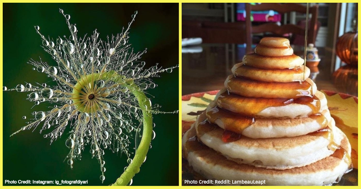 Nothing Is Perfect... Except for These 15 Photos