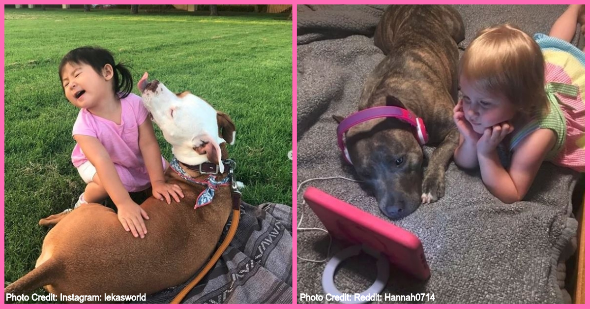 12 Adorable Photos of Pit Bulls with Their Kids