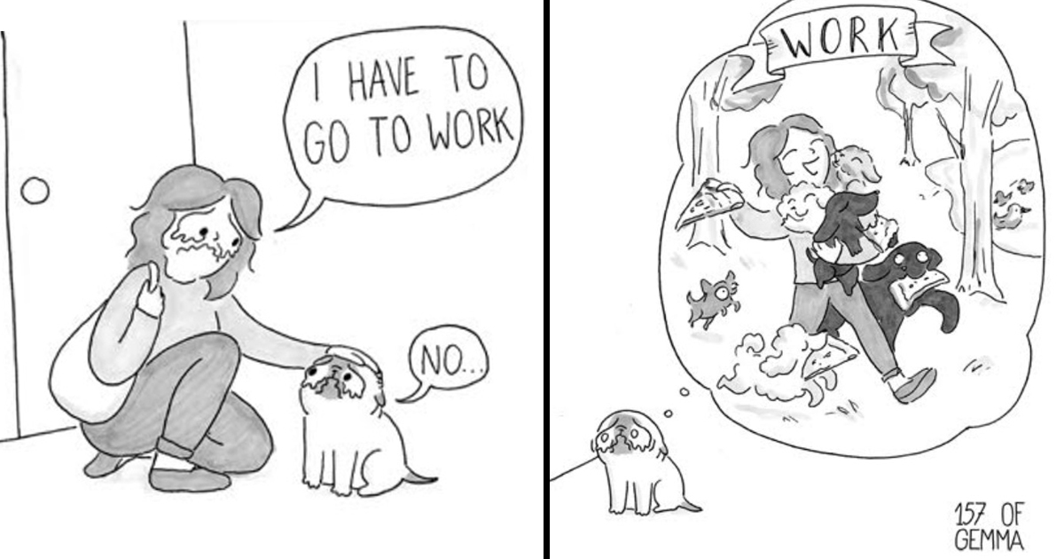 Meet Mochi, The Tiny Pug With A Huge Personality