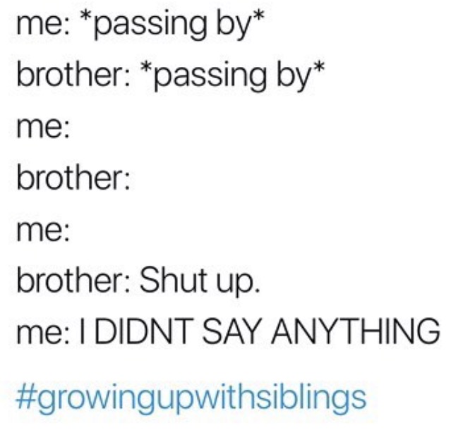 15 Memes That Anyone With A Brother Will Relate To
