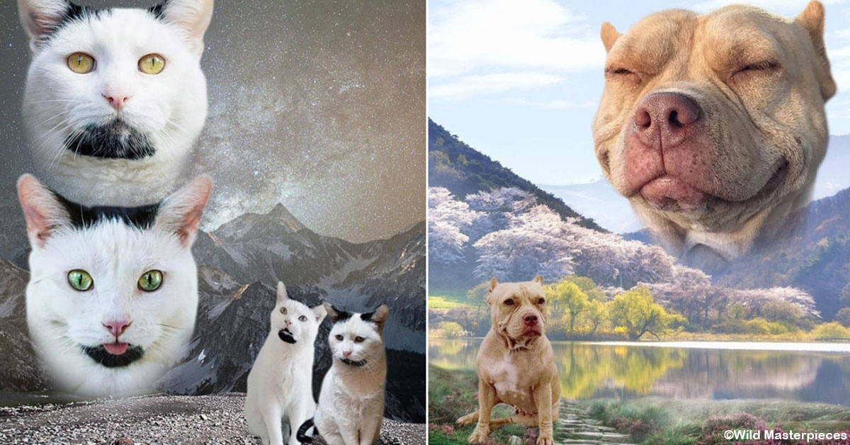 Check out These Amazing Animal Glamour Shots
