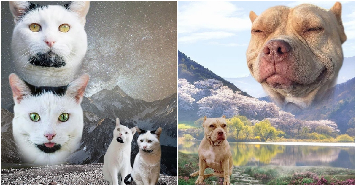Check out These Amazing Animal Glamour Shots