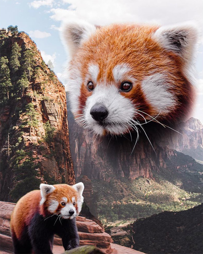 Check out These Amazing Animal Glamour Shots