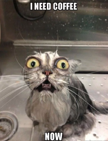 15 Funny Memes for All You Coffee Lovers out There