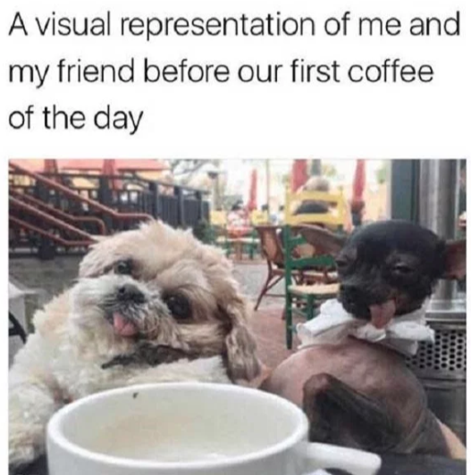 15 Funny Memes for All You Coffee Lovers out There