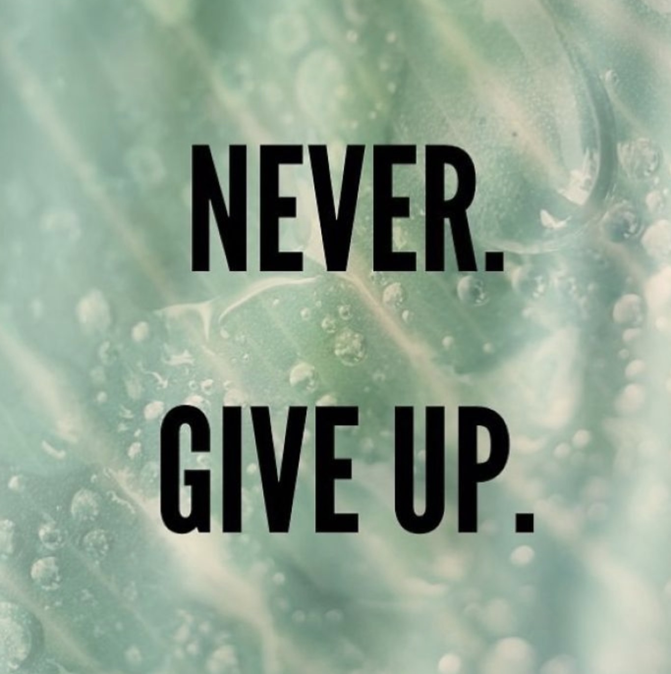 15 More Uninspirational Quotes To Lower Your Spirits