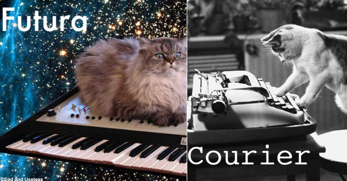 'Cats as Fonts' Is What You Need Right This Instant