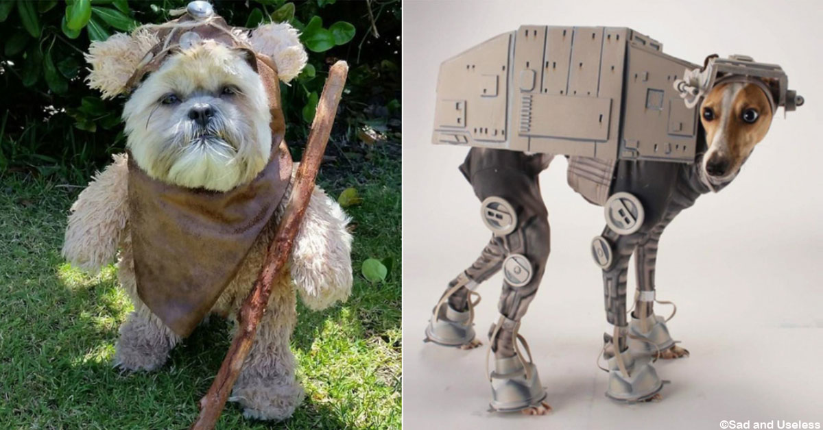 You Need These Star Wars Pet Parade Photos in Your Life Immediately
