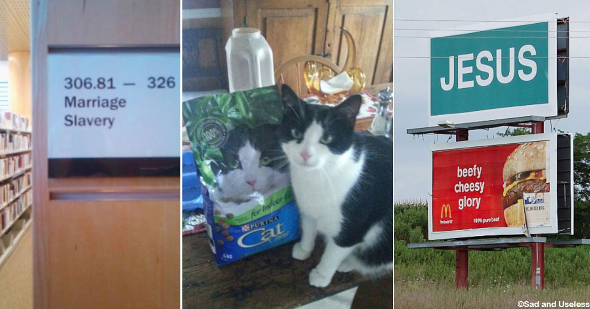 15+ Hilarious Coincidences That'll Make You Look Twice