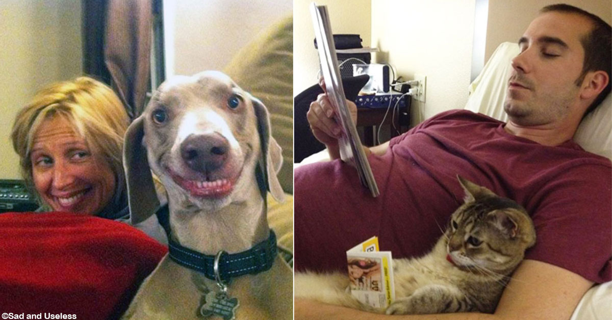 Like Owner, Like Pet