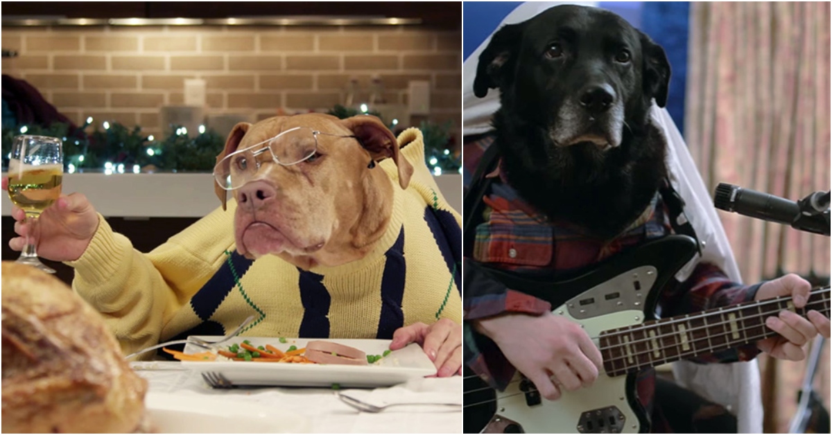 Dogs with Human Bodies Is All Anyone Needs in Life