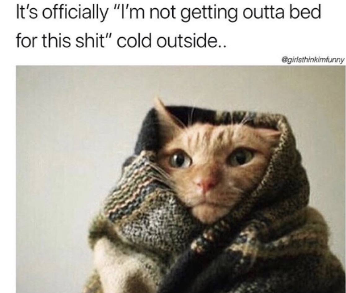 15 Memes To Keep You Warm During The Polar Vortex