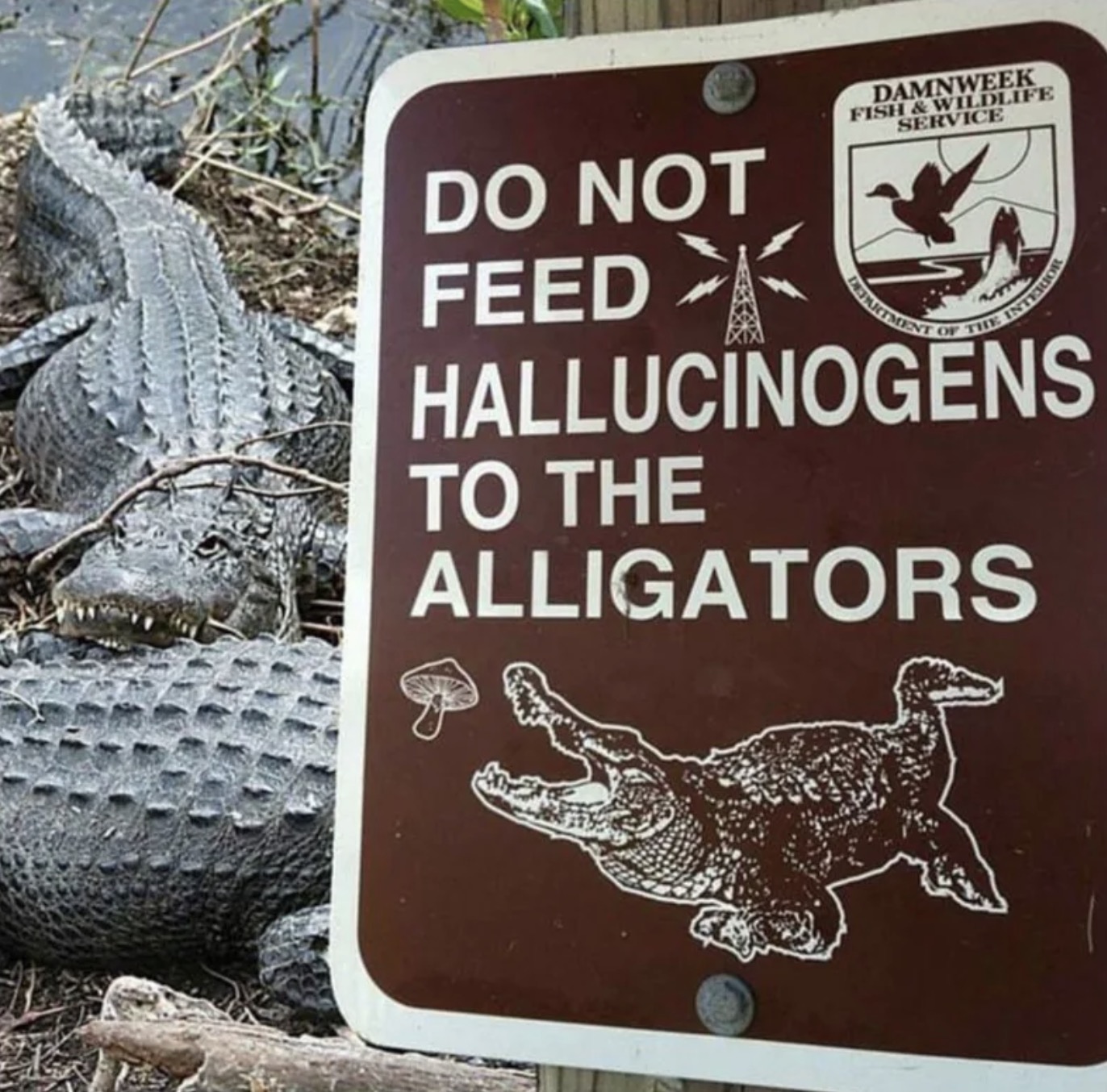 15 Photos Of Funny Business Signs