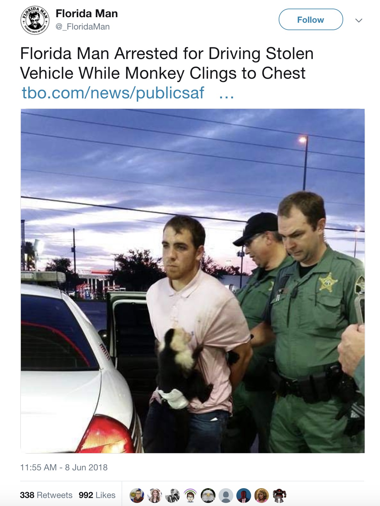 15 Of The Greatest "Florida Man" Headlines Ever