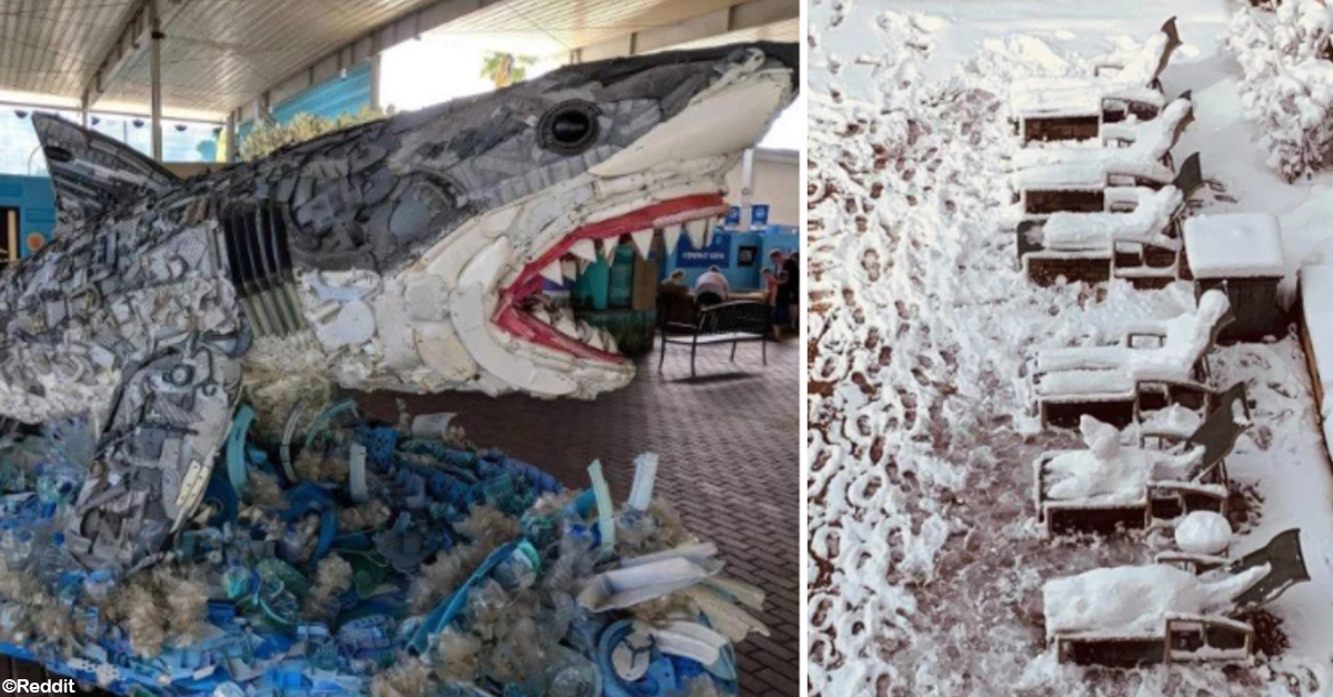 15 Cool Photos of Random Cool Things