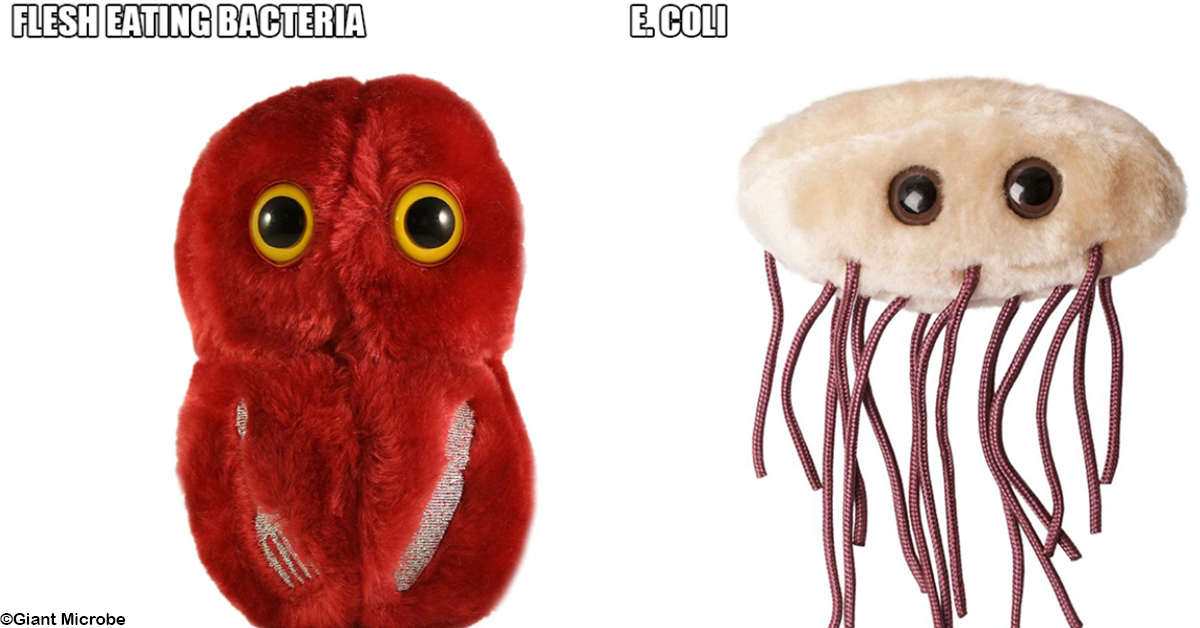 Cute Stuffed Diseases Are Here for Snuggling