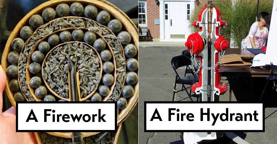 What Everyday Objects Look Like Cut in Half