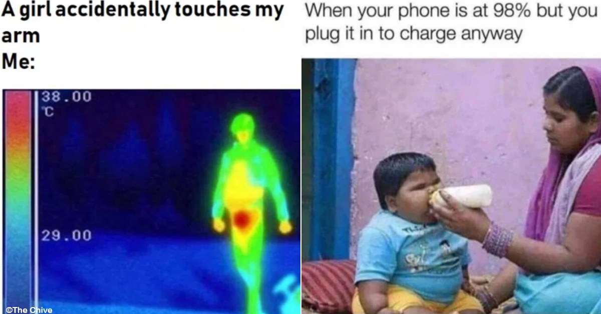 15 Funny Memes That We Think Are Good for Your Soul