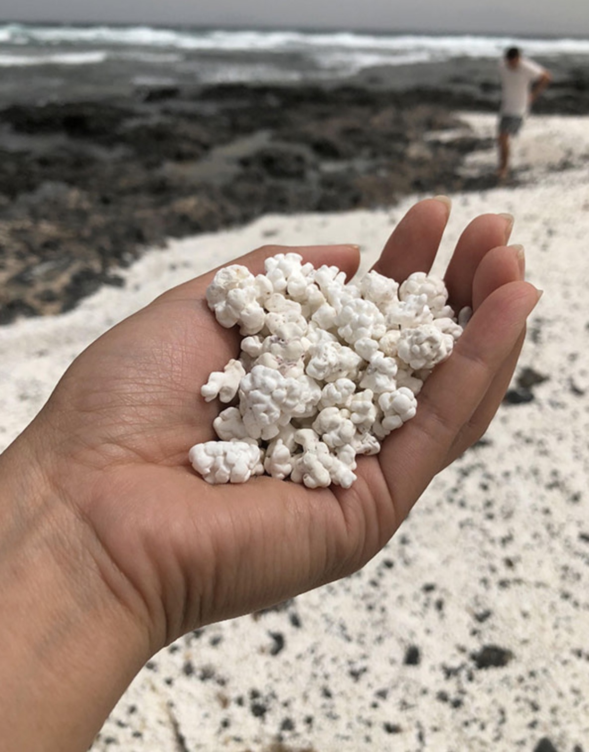 16 Inedible Objects That Look Delicious