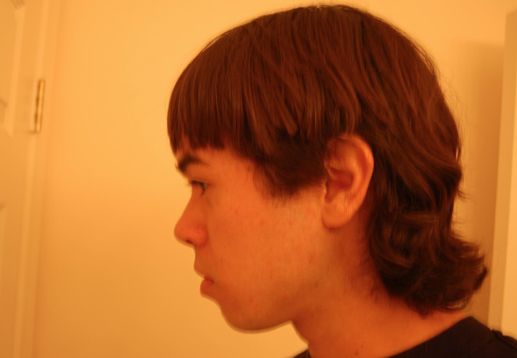 15 Awesome Pictures of Glorious Mullets