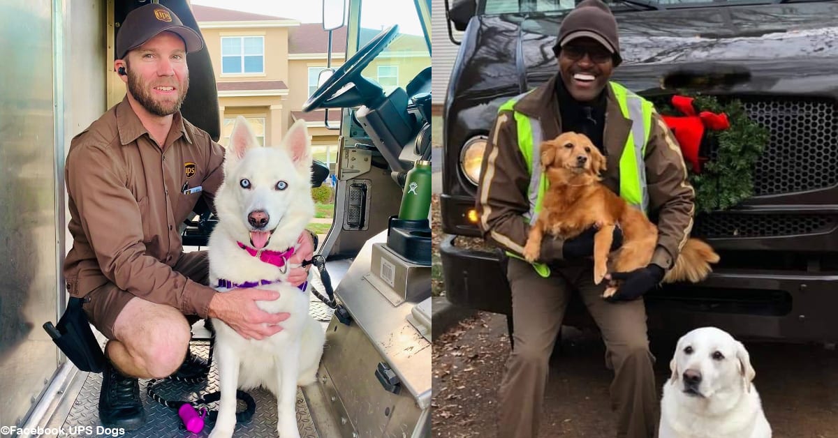 There's a Facebook Page Dedicated to All the Dogs UPS Drivers Meet