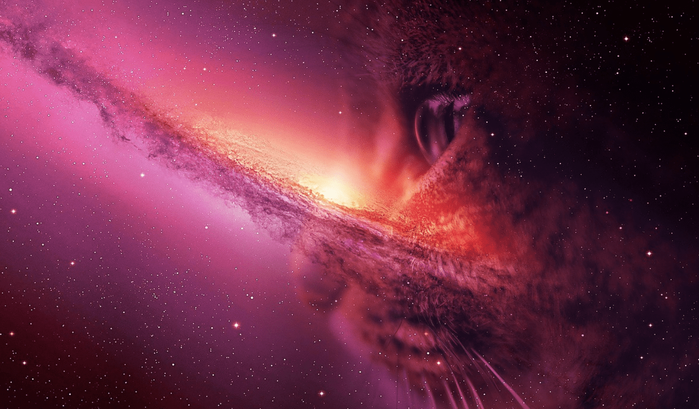 Enjoy These Totally Far out Cats in Outer Space