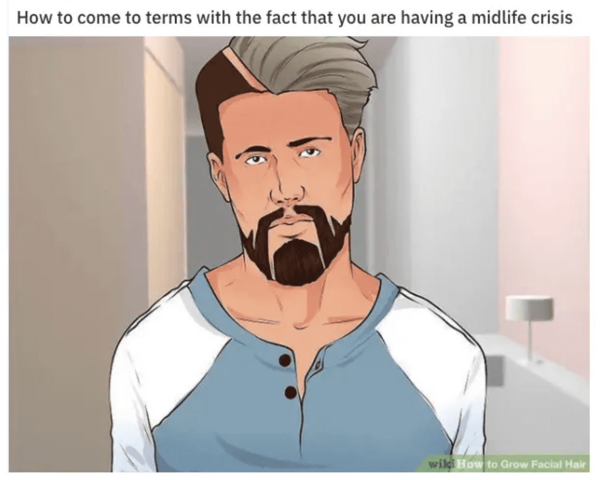 15 Funny and Weird Memes Made From wikiHow Illustrations