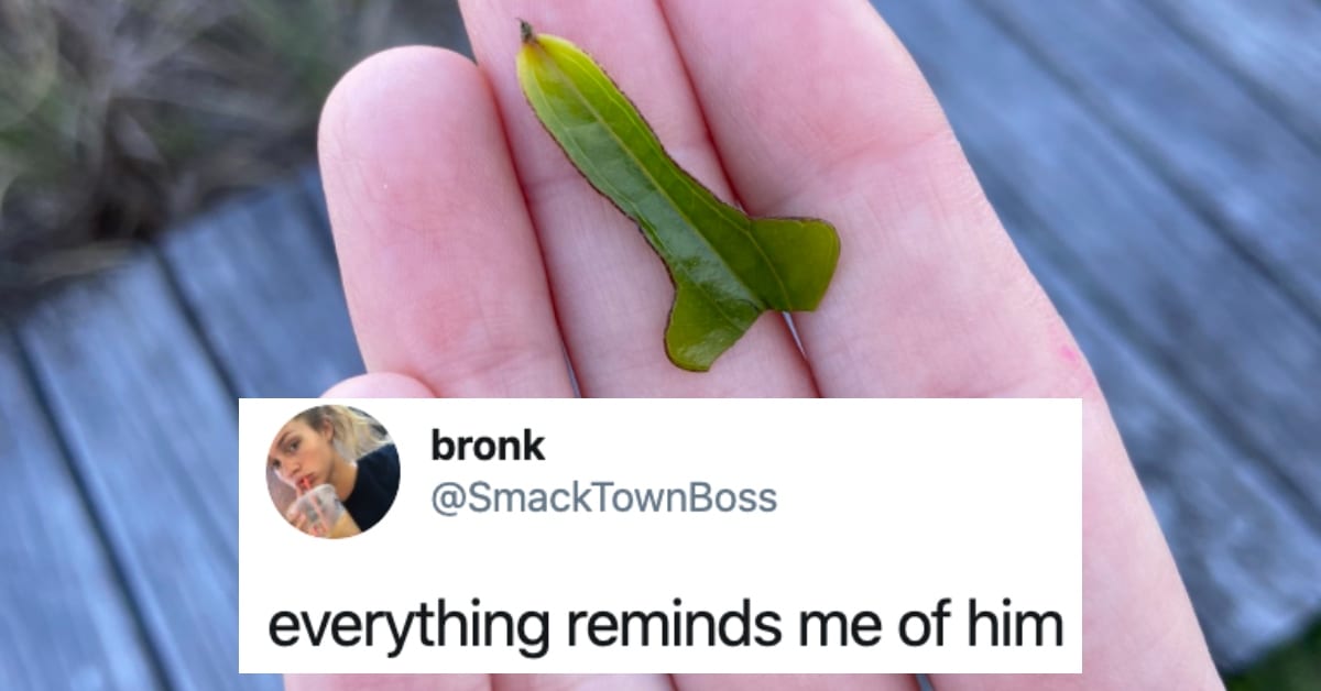 14 Funny Posts to Get You Giggling
