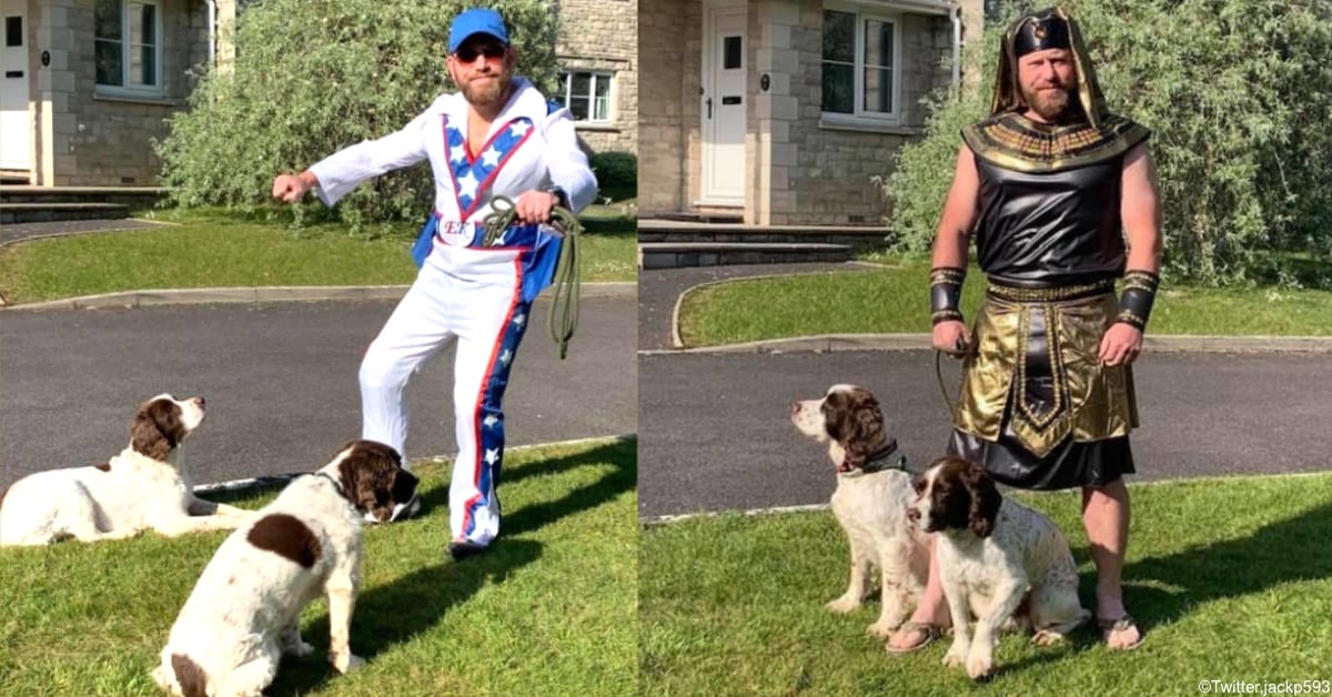 Guy Wears Hilarious Outfits While Walking His Dogs to Cheer up His ...