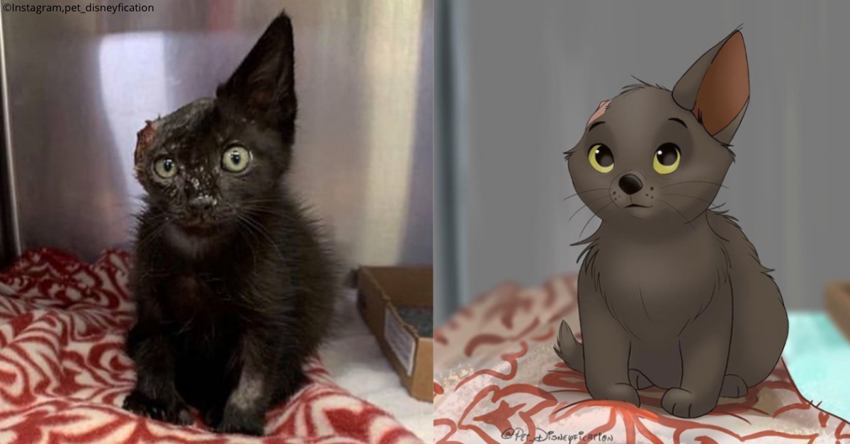 This Artist "Disneyfies" Peoples' Pets and the Results Are Awesome