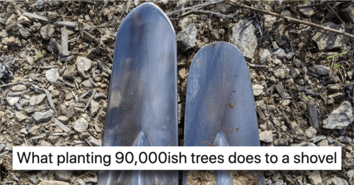 Check Out These "What Happens If..." Posts About All Kinds of Random ...