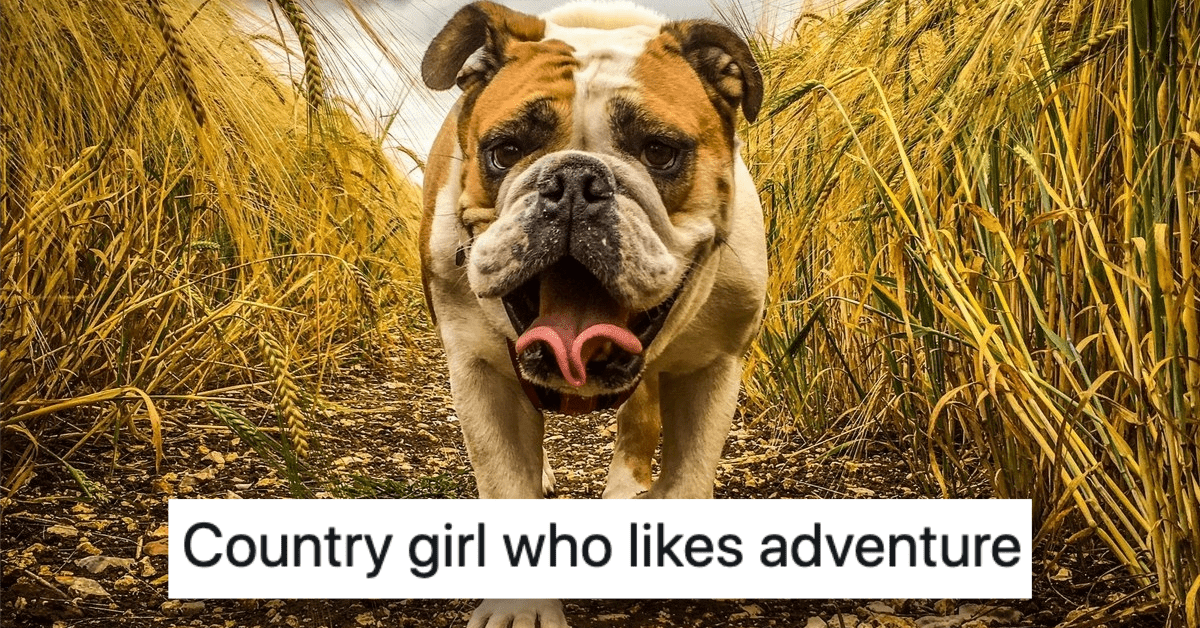 People Share What Their Dog's Dating Profiles Would Look Like