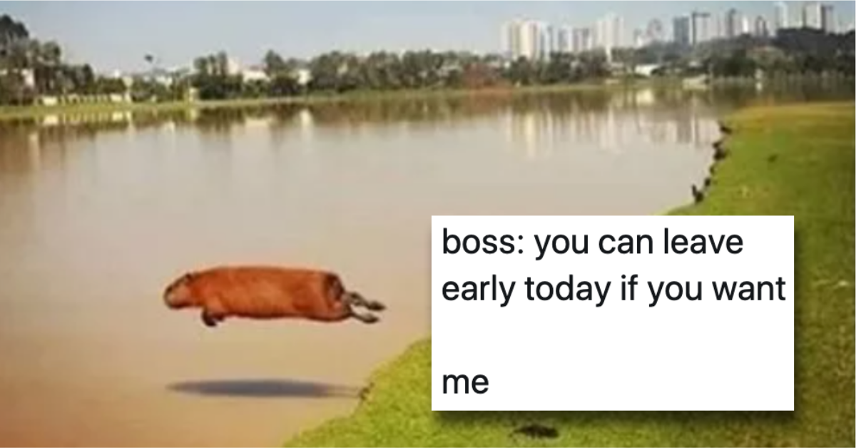 Funny Memes About Something We All Dread...Working!