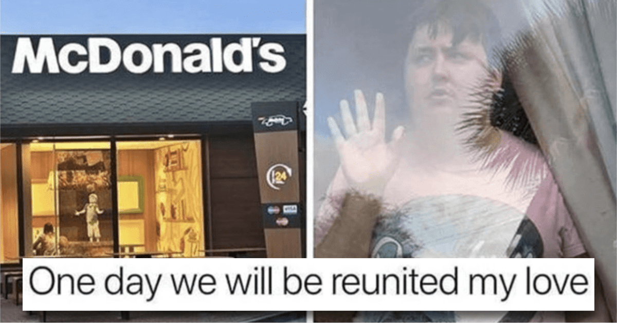 Ready for Some Funny Memes? Let's Get It On!